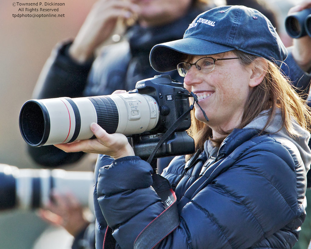 Catherine Hamilton birding & photographing at Allen's Meadow in Wilton ...