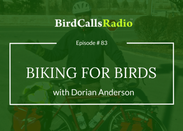 dorian anderson_featured image - BirdCallsRadio™ | Exploring birdlife ...